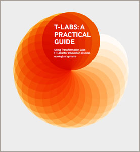 New guide to Transformation Labs published - Institute of Development ...