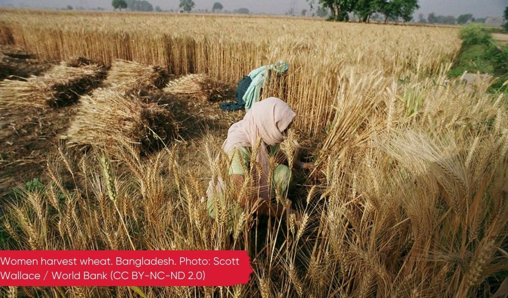 Why Russia’s war on Ukraine poses a risk to global food security ...