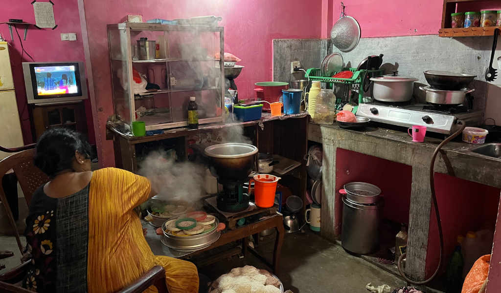 Making ends meet in Sri Lanka - urban poor families in crisis in ...