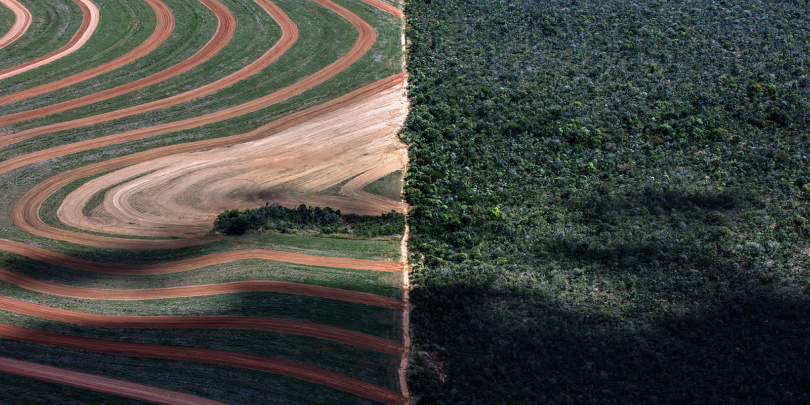 Frontier Territories: Countering the Green Revolution Legacy in the ...