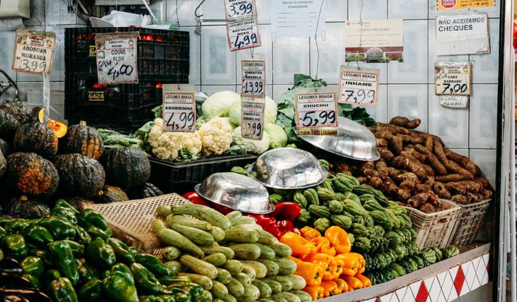 Brazil’s return: Towards zero hunger (again) - Institute of Development ...