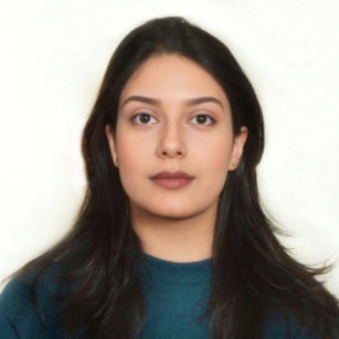 Conceptualising Gender Backlash Definitions and Frameworks - Institute ...