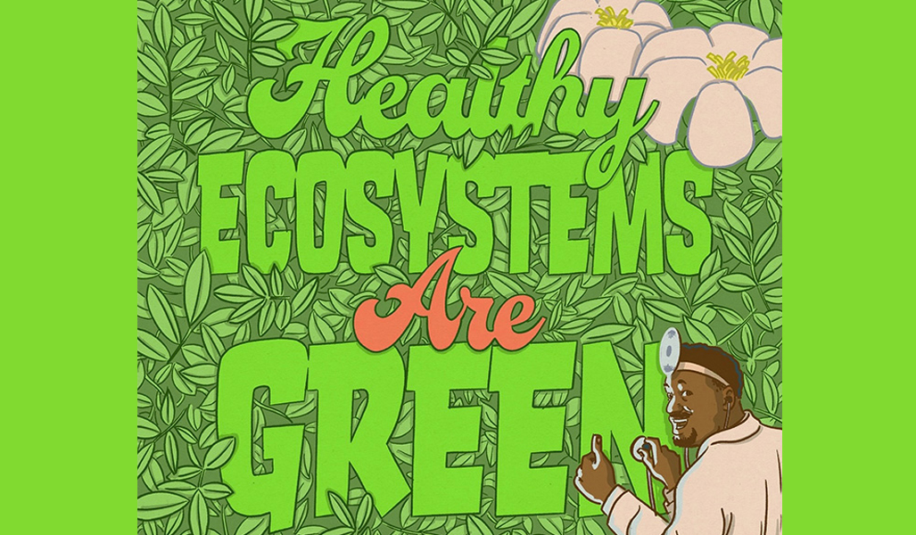 Exploring Rangeland Myths: Healthy ecosystems are green - Institute of ...
